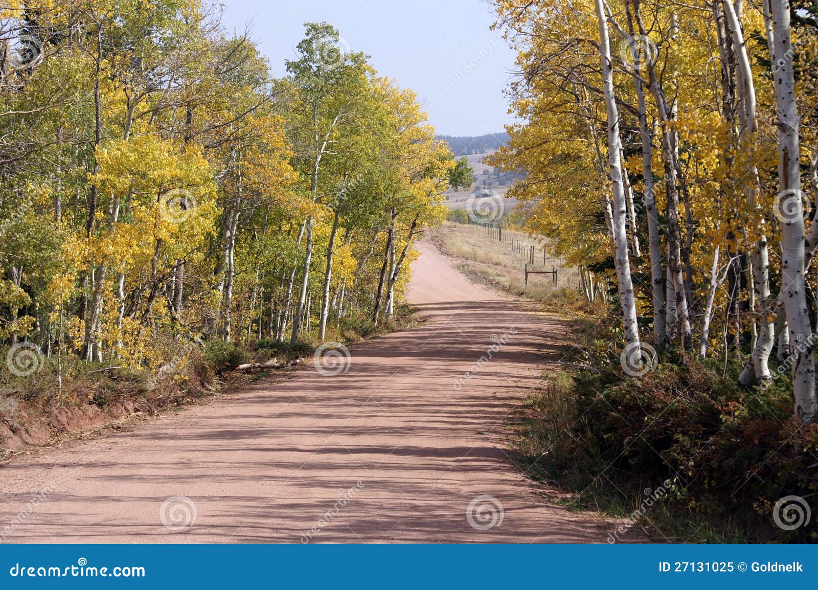 Colorful dirt road stock image. Image of fall, trees - 27131025