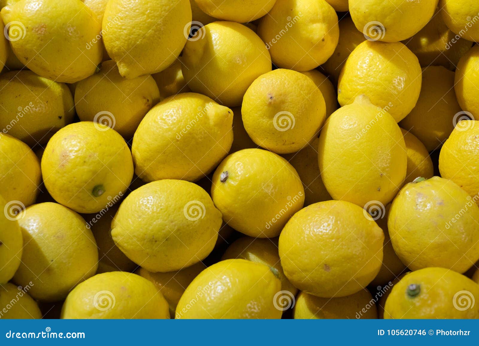 Colorful Display of Lemons stock photo. Image of lemon - 105620746
