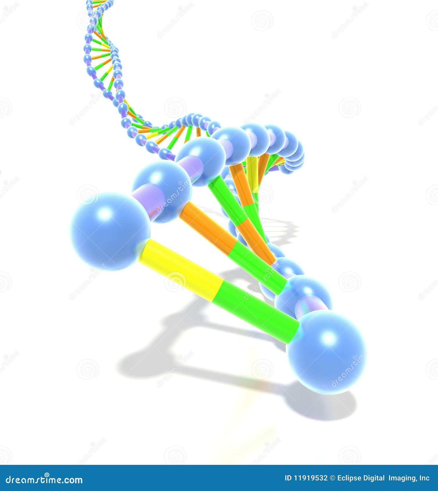 Colorful DNA helix strand stock illustration. Illustration of ...