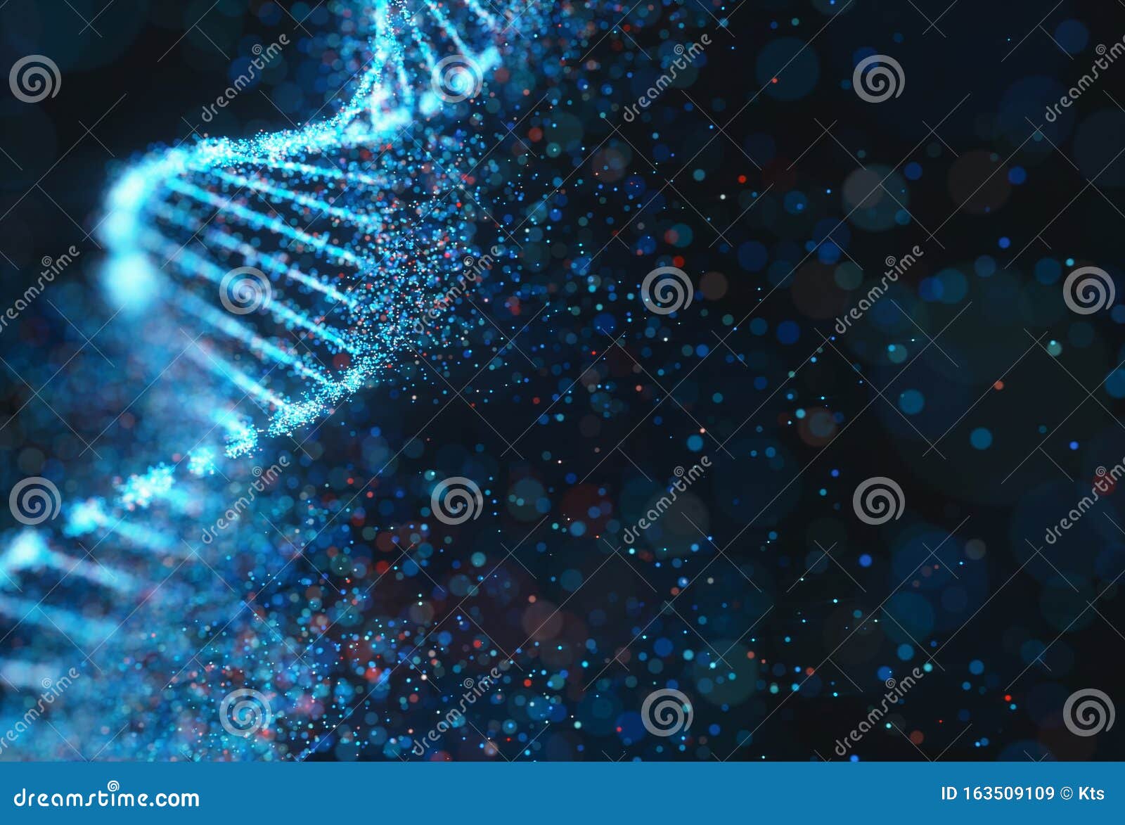 Colored Genetic Code DNA Molecule Structure Stock Illustration ...