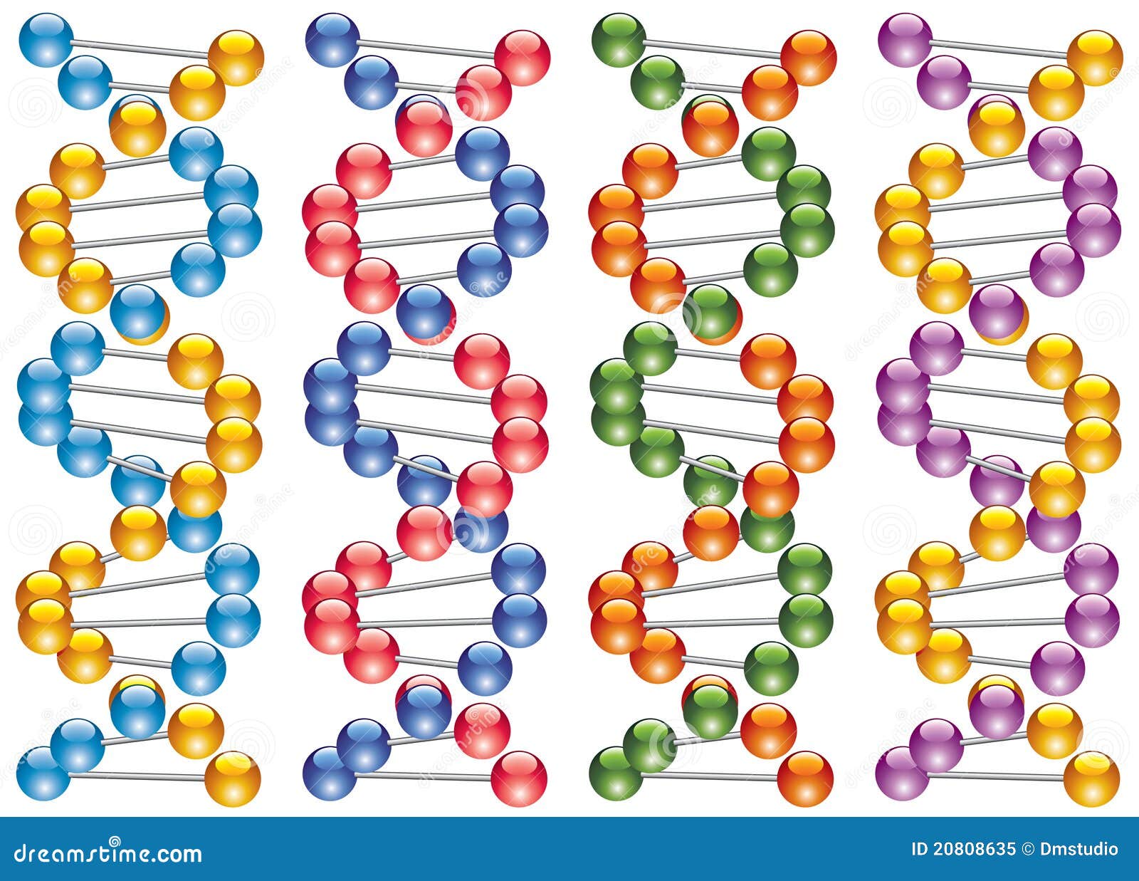 Colorful dna strands stock vector. Illustration of information - 20808635