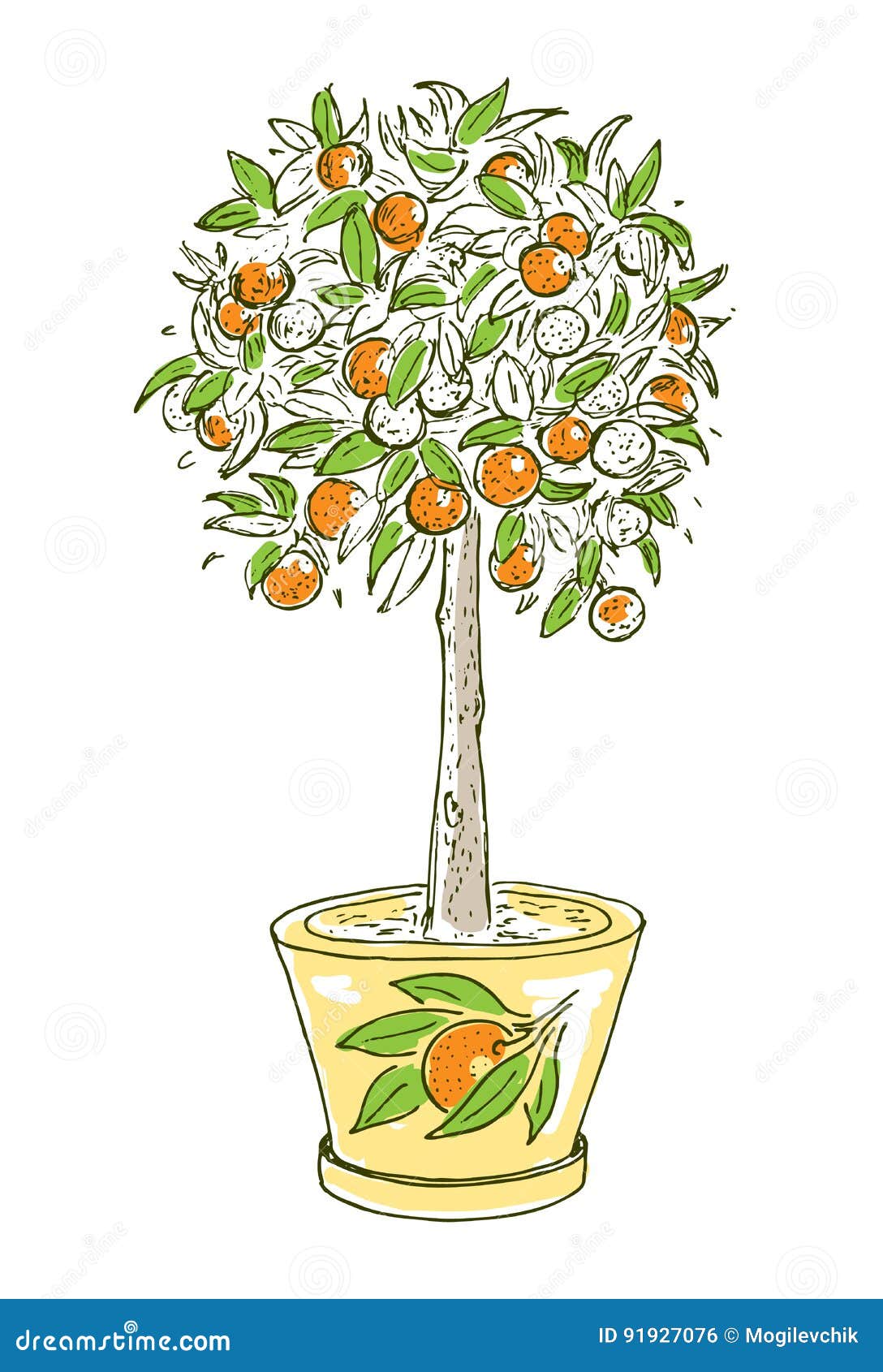 Colorful Drawing Citrus Fruit Concept Stock Vector - Illustration of ...
