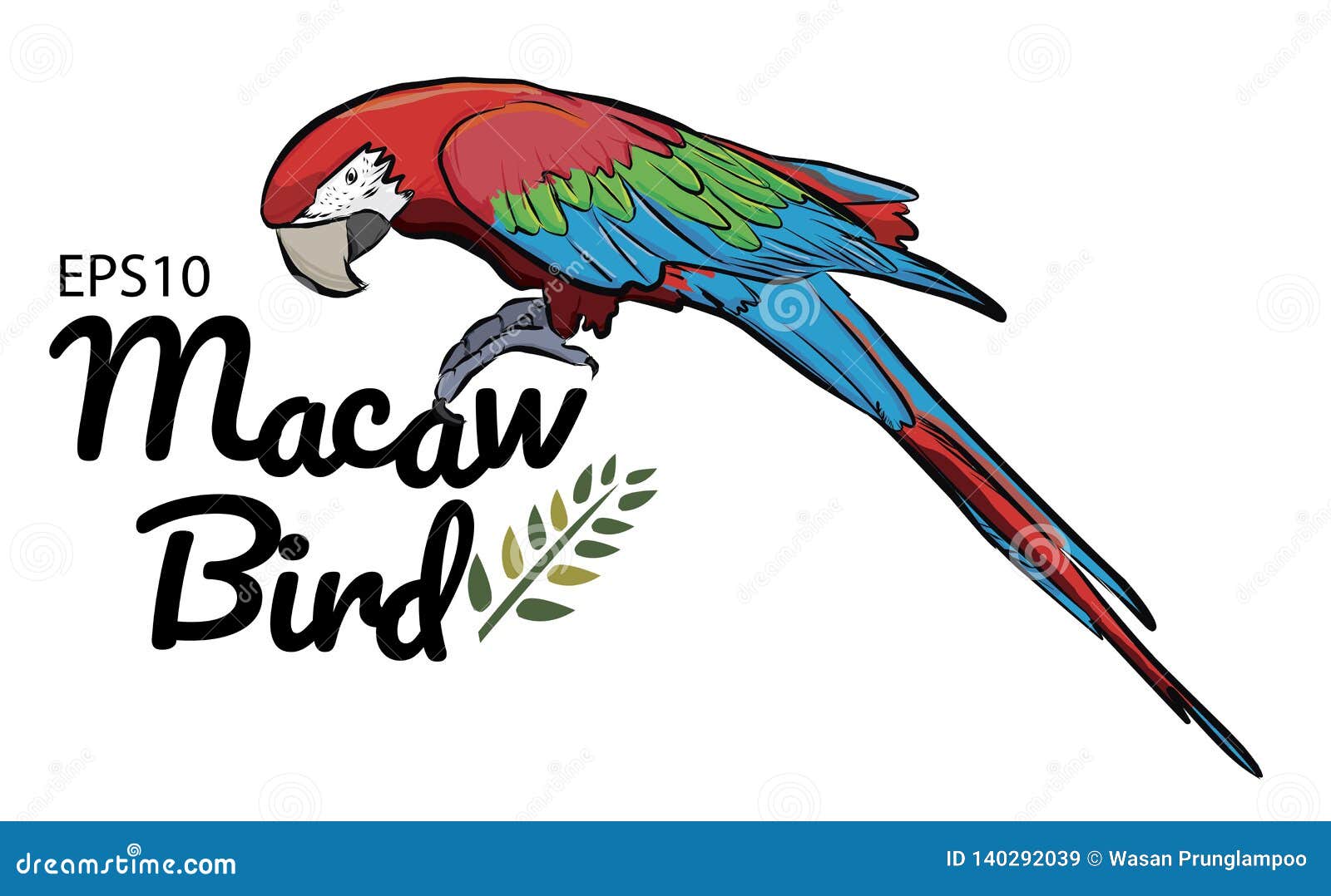 Colorful Drawing Macaw Bird Pattern Background Stock Vector ...