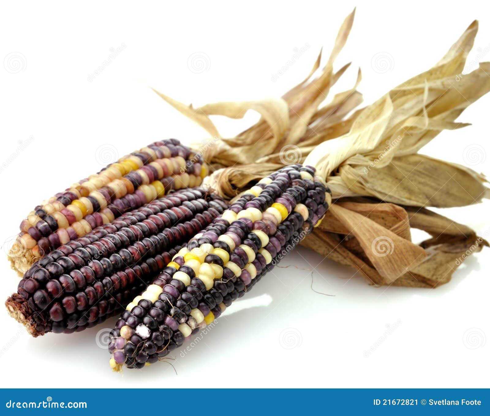 Colorful Dry Corn stock image. Image of texture, fall - 21672821