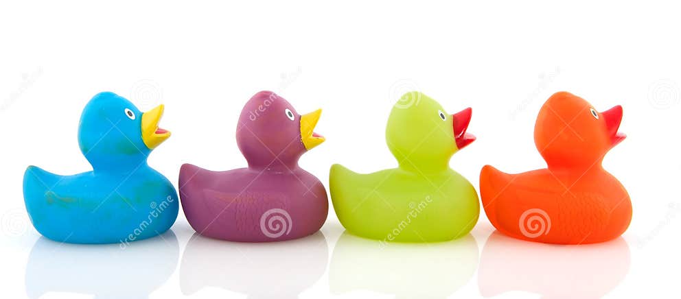 Colorful ducks stock image. Image of ducks, isolated - 11618289