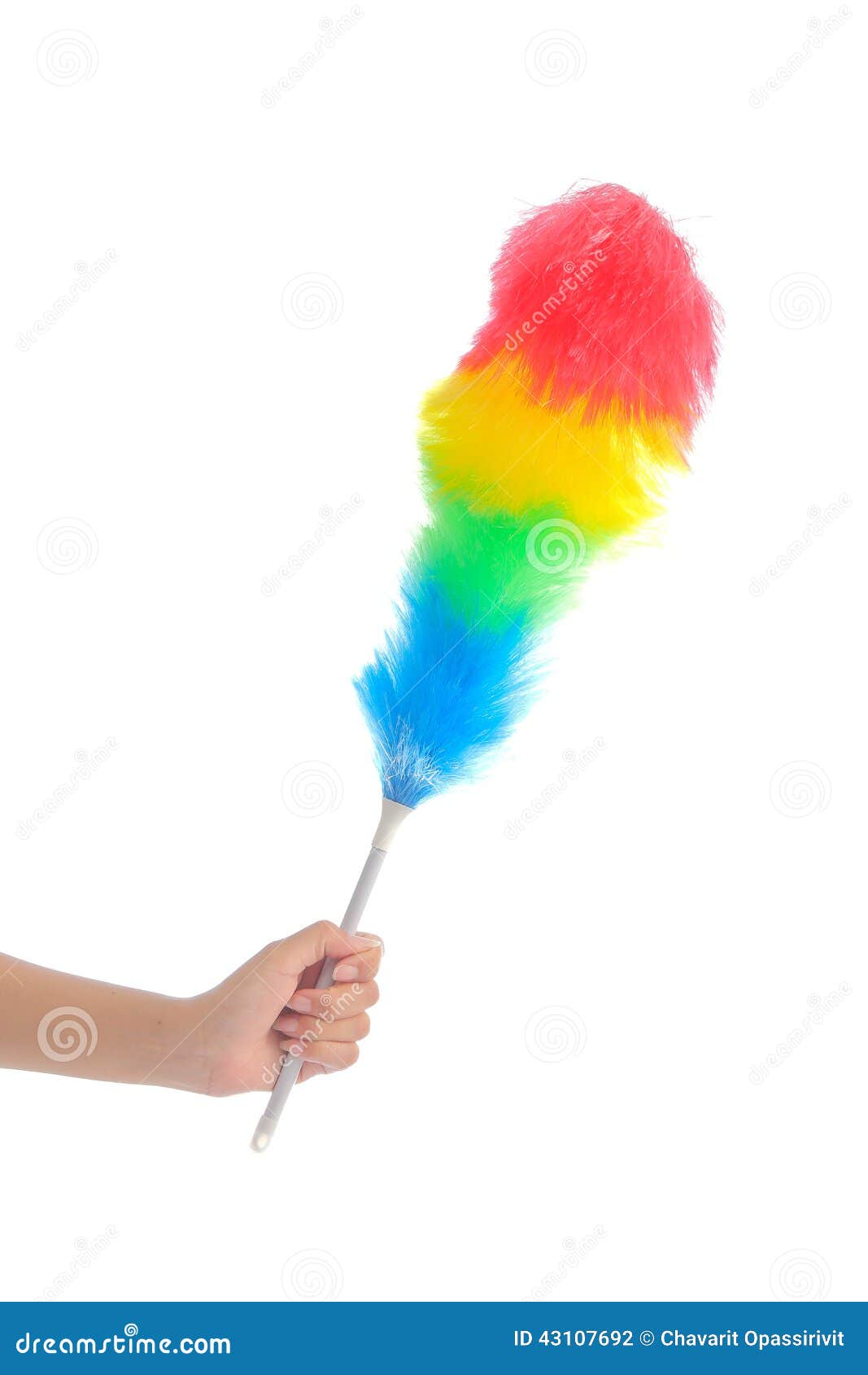 Colorful duster in hand stock photo. Image of fluffy - 43107692