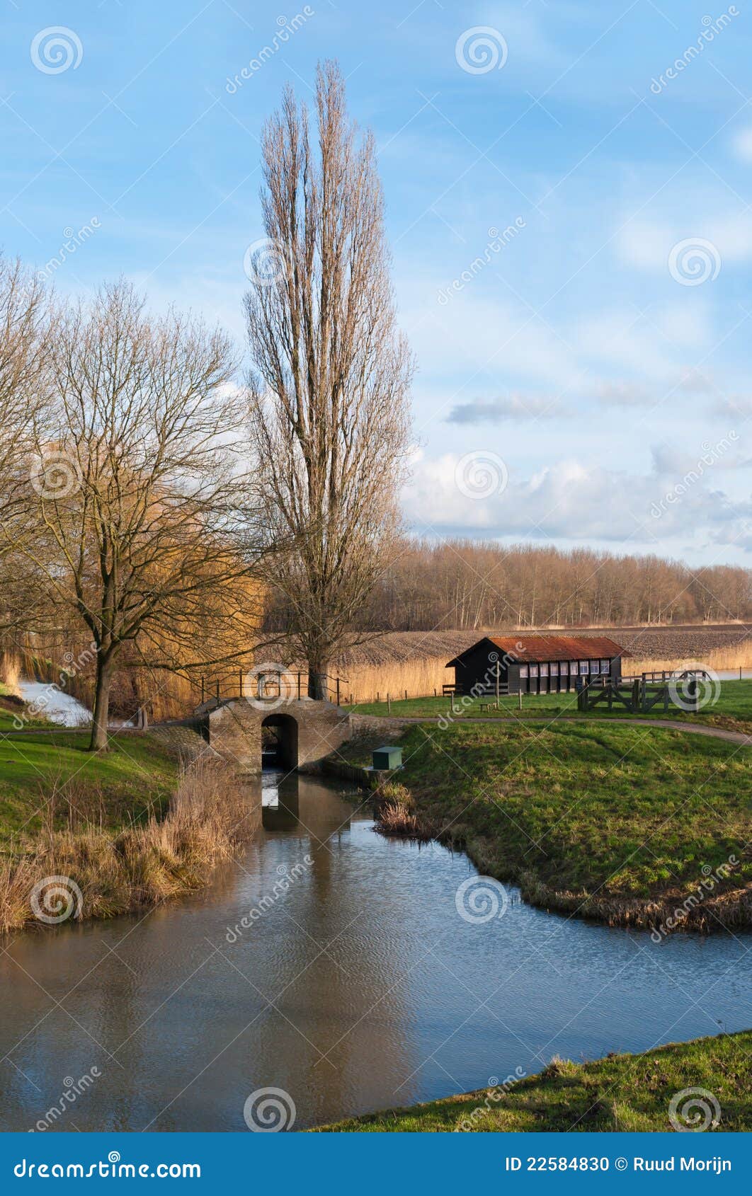 Colorful Dutch Landscape in Autumn Stock Photo - Image of dutch ...