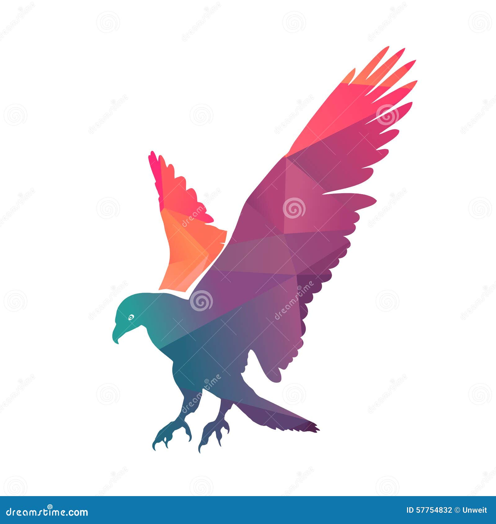 Colorful Eagle stock vector. Illustration of eagle, wild - 57754832