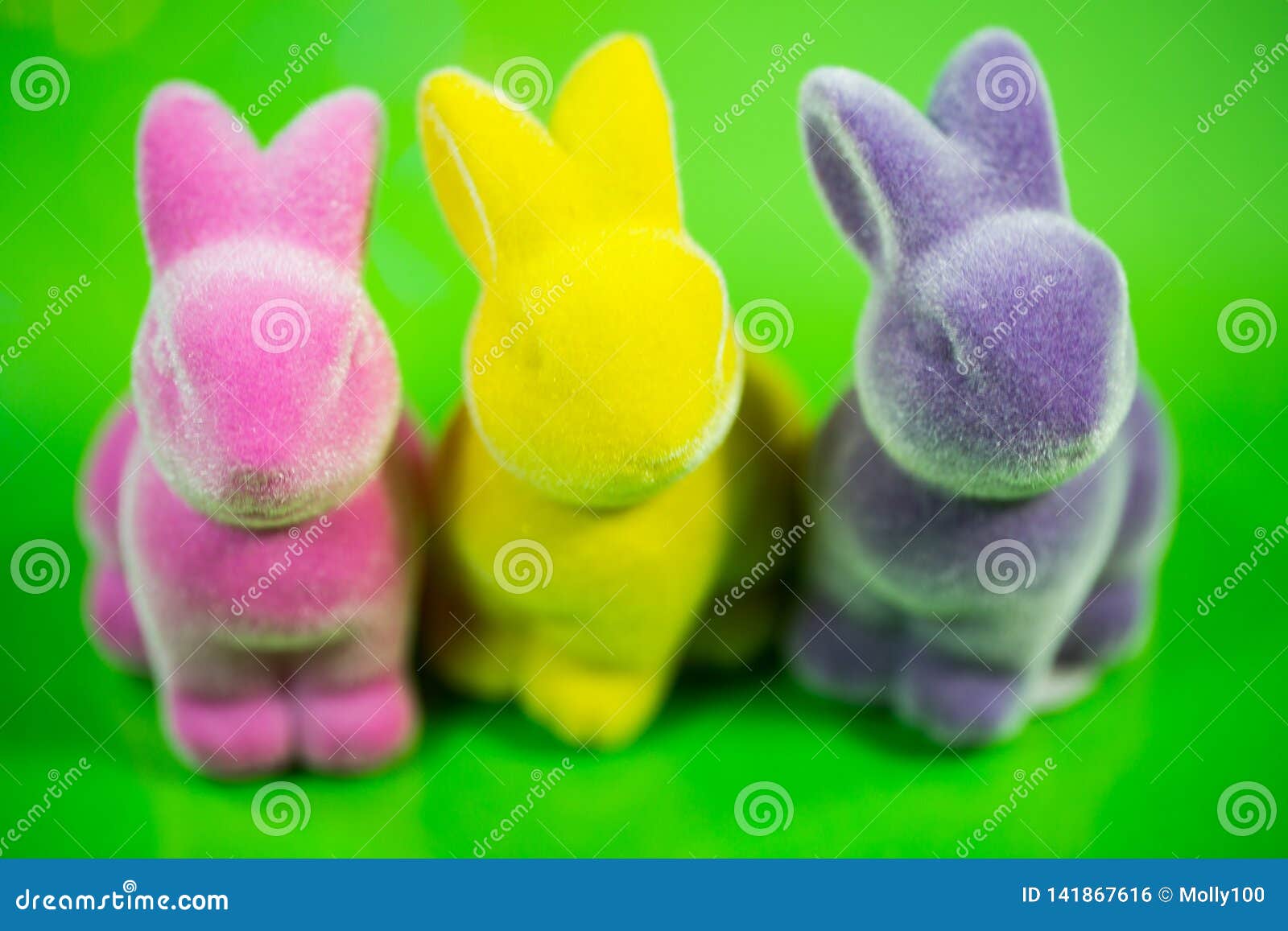 Colorful Funny Easter Bunnies from Behind, Easter Bunnies from Behind ...