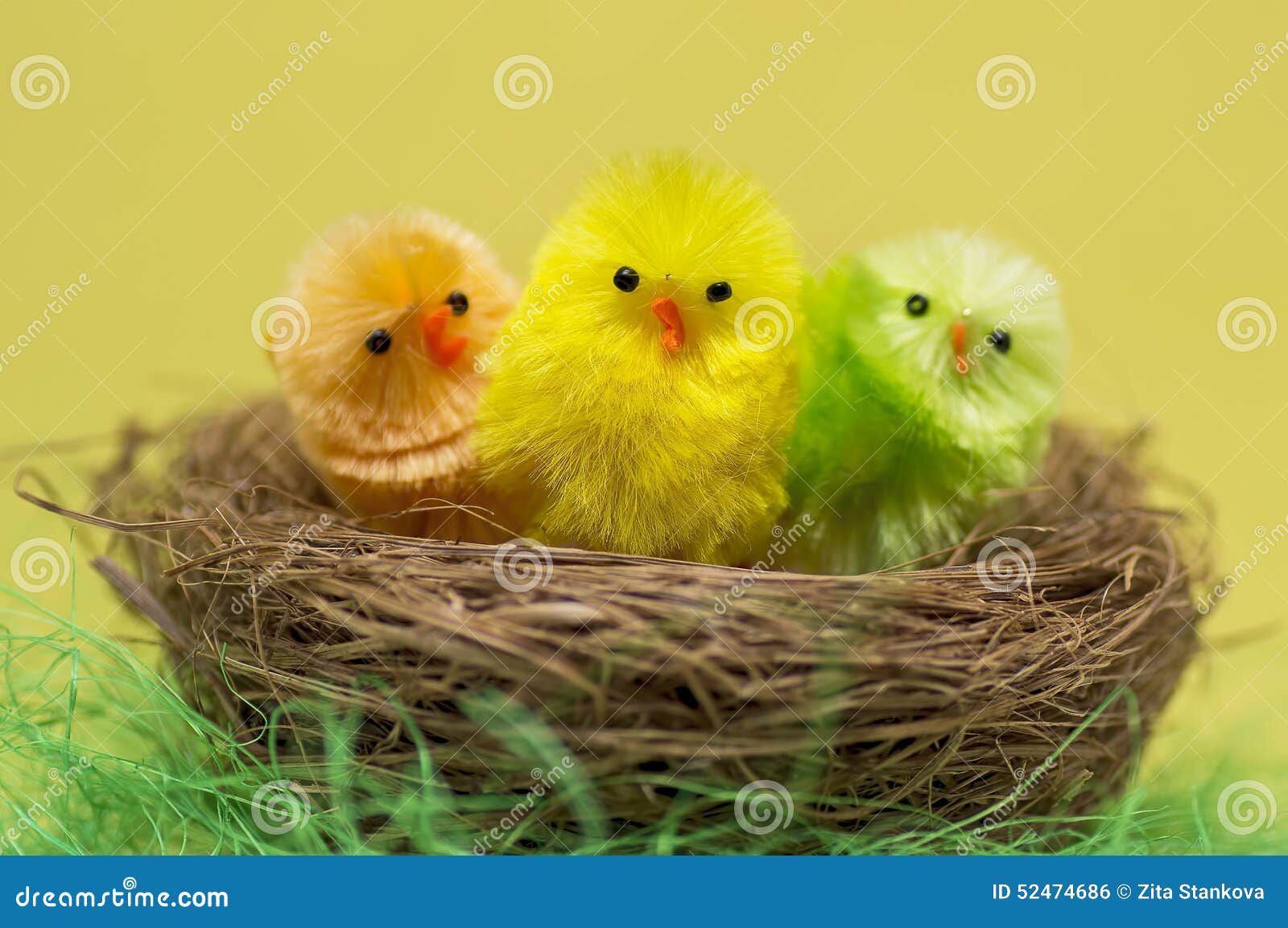 Colorful easter chicks stock photo. Image of celebration - 52474686
