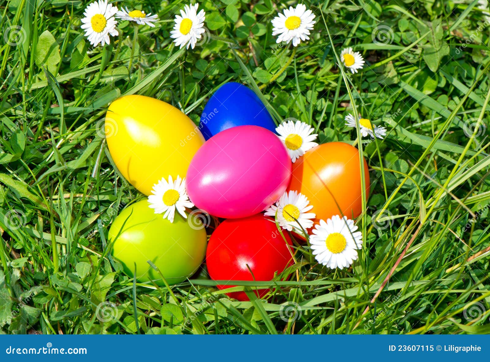 Colorful Easter Eggs with Daisy Flowers Stock Image - Image of meadow ...