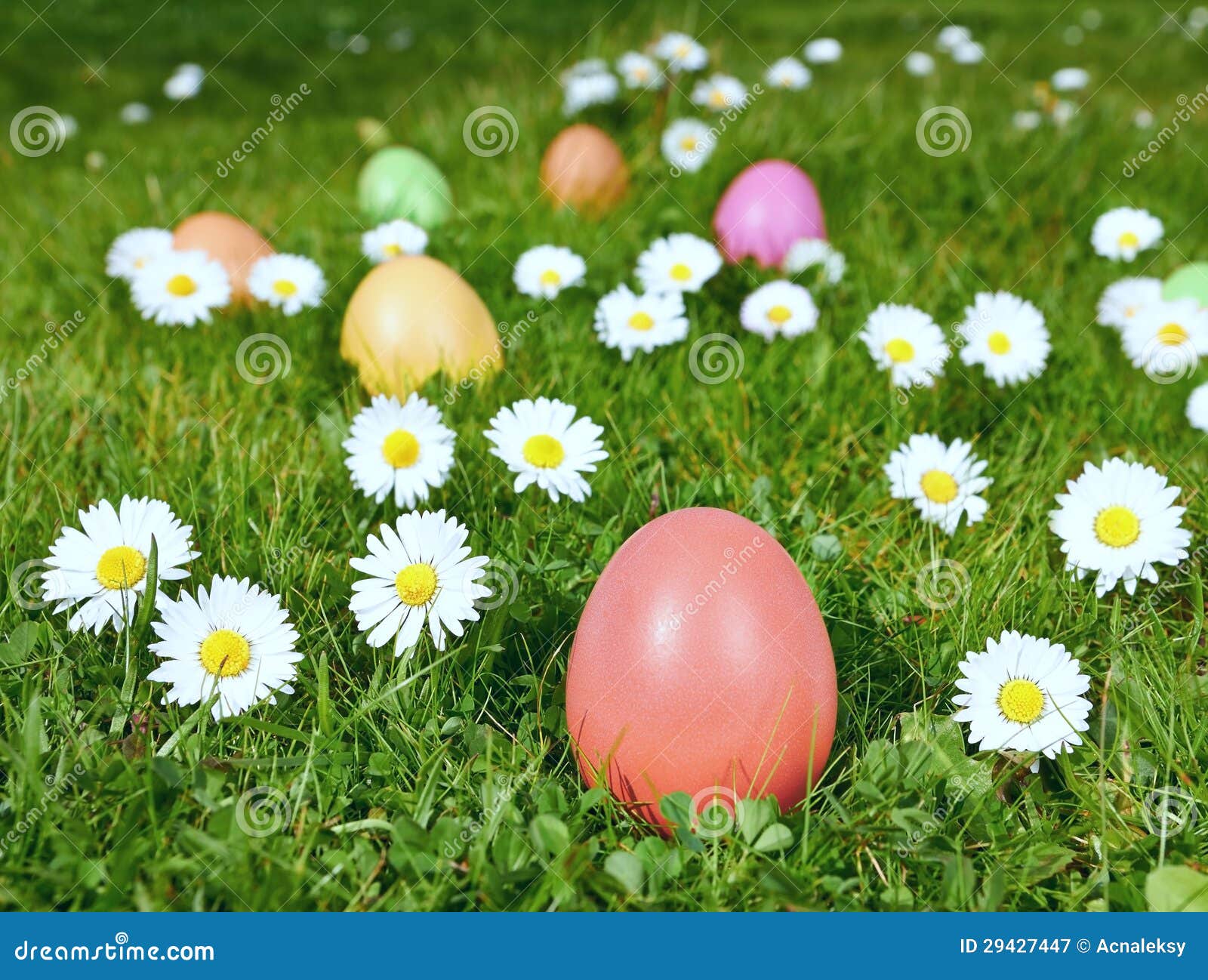 Colorful Easter Eggs in a Field Stock Image - Image of happy, light ...