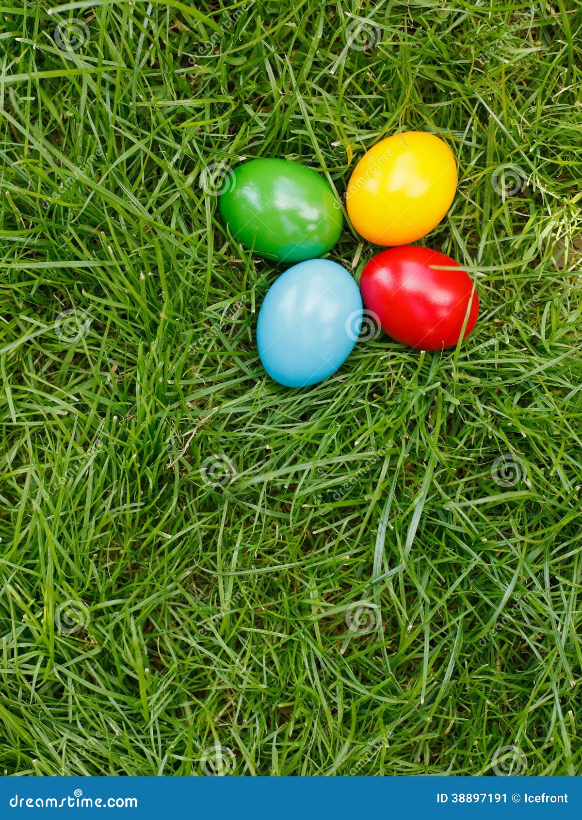 Colorful Easter Eggs in Grass Stock Image - Image of colors, painted ...