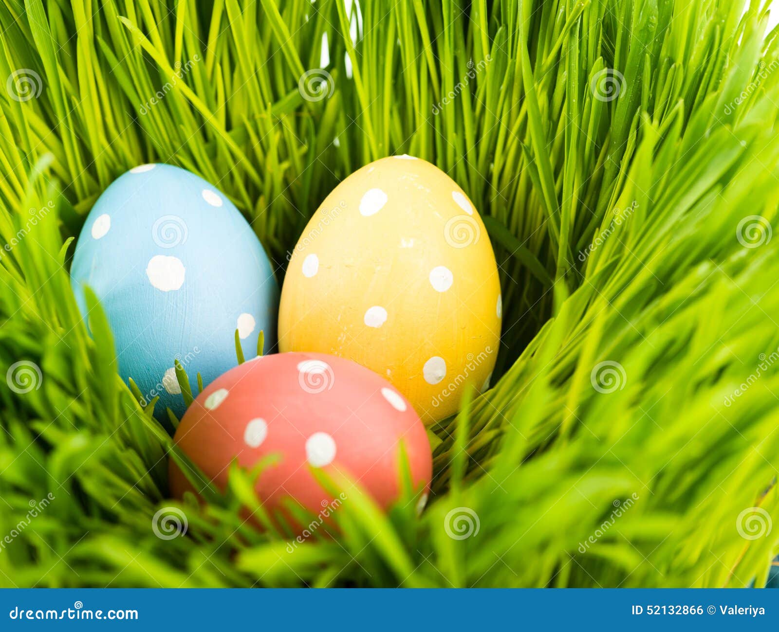 Colorful Easter Eggs on Grass Stock Photo - Image of handmade ...