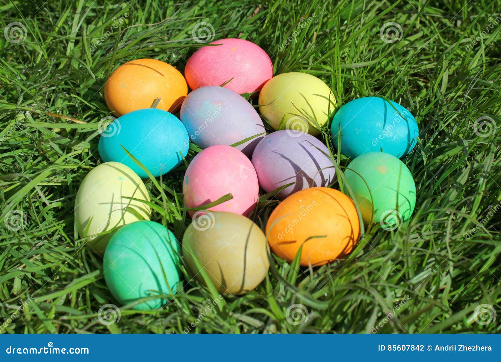 Colorful Easter Eggs on Green Grass Stock Photo - Image of rustic ...
