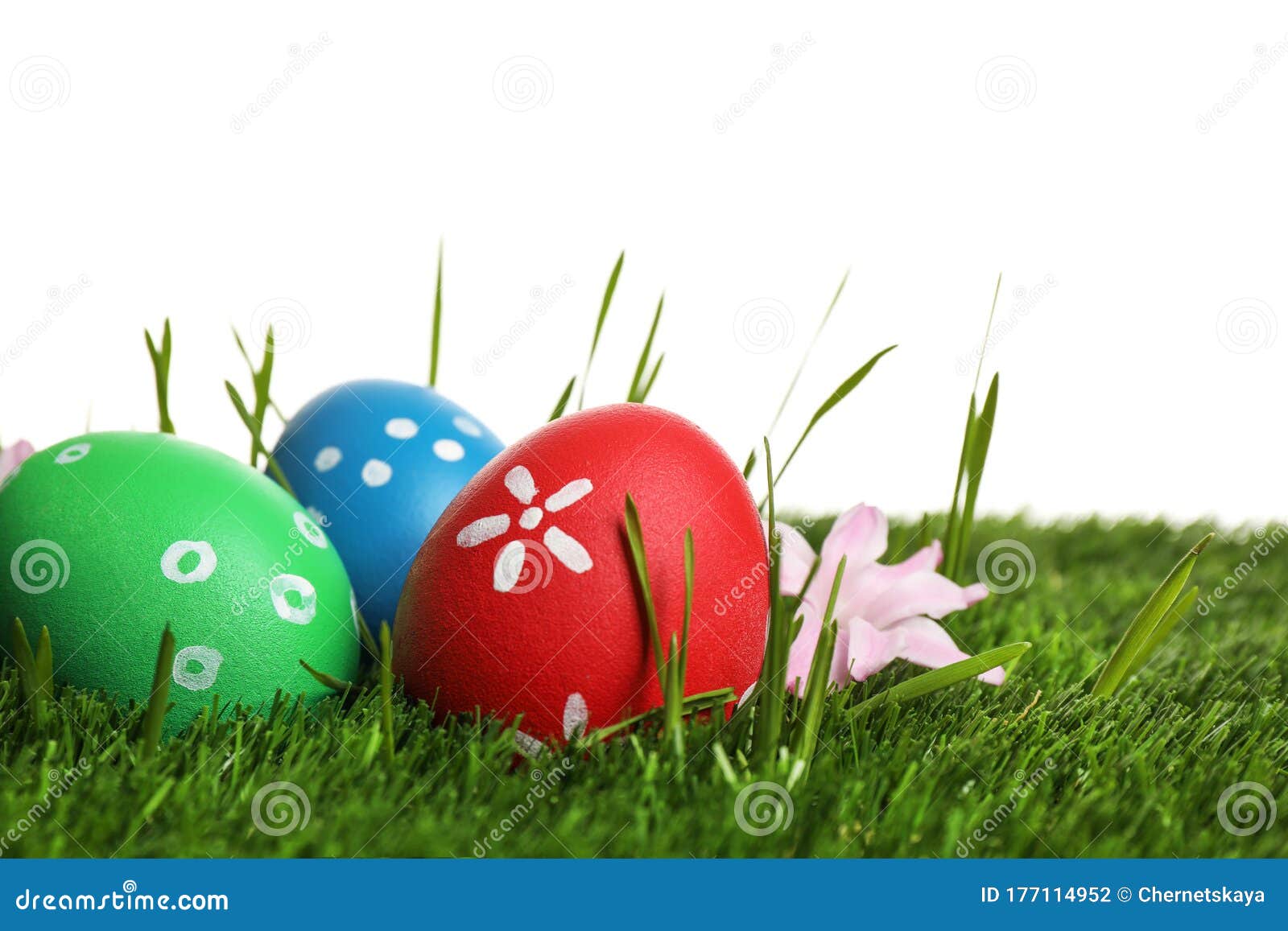 Colorful Easter Eggs in Green Grass and Flower on Background, Closeup ...