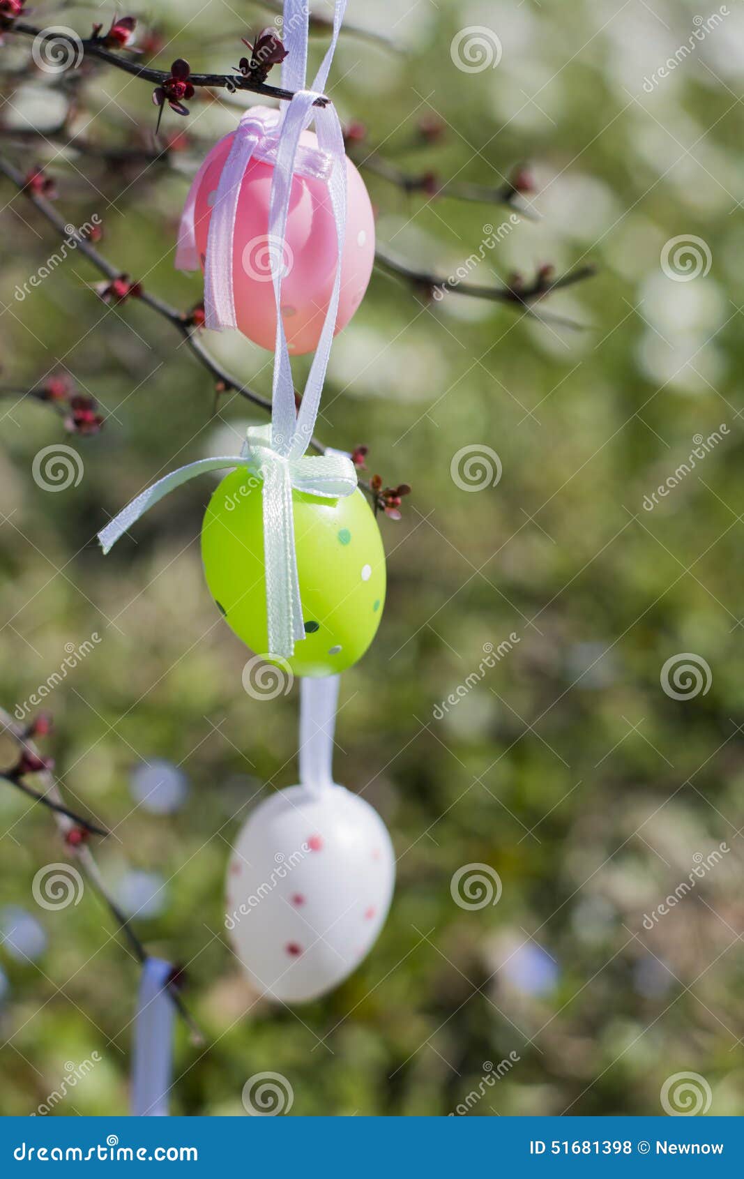 Colorful Easter Eggs Hanging on Branches Outdoors with White Flo Stock ...