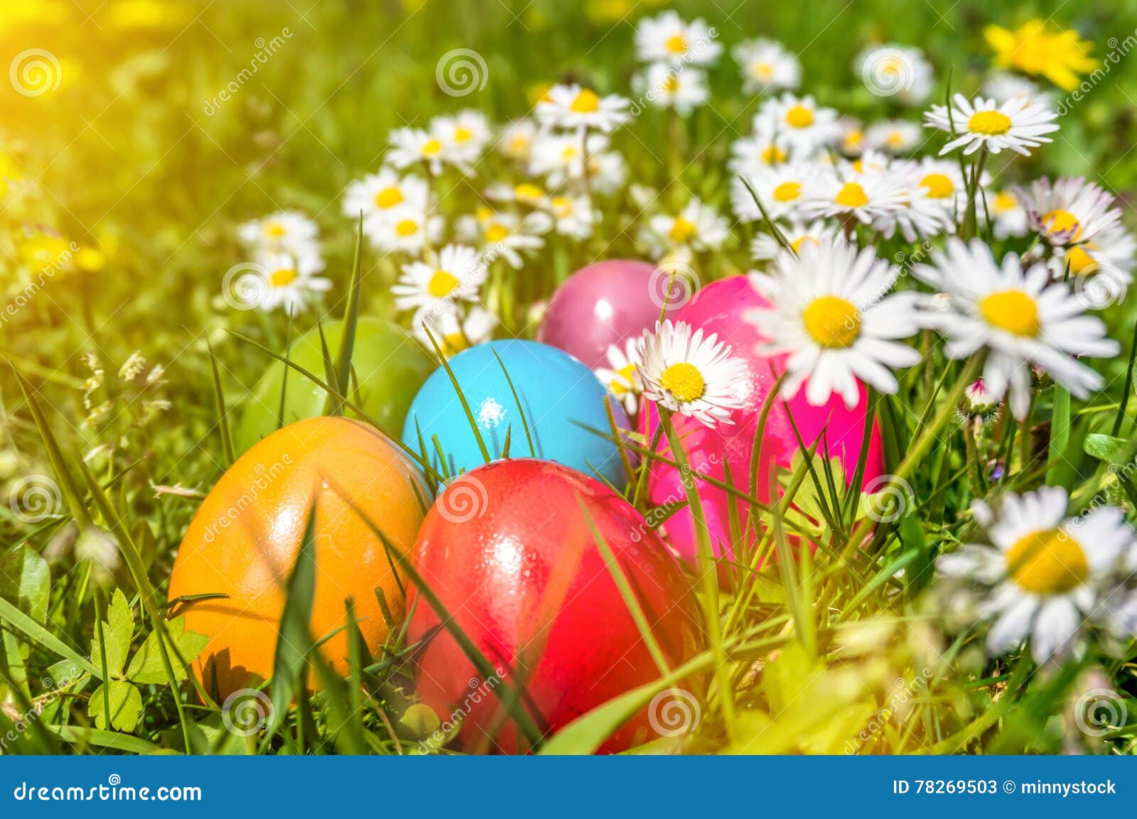 Colorful Easter Eggs Lying in the Grass Stock Image - Image of grass ...