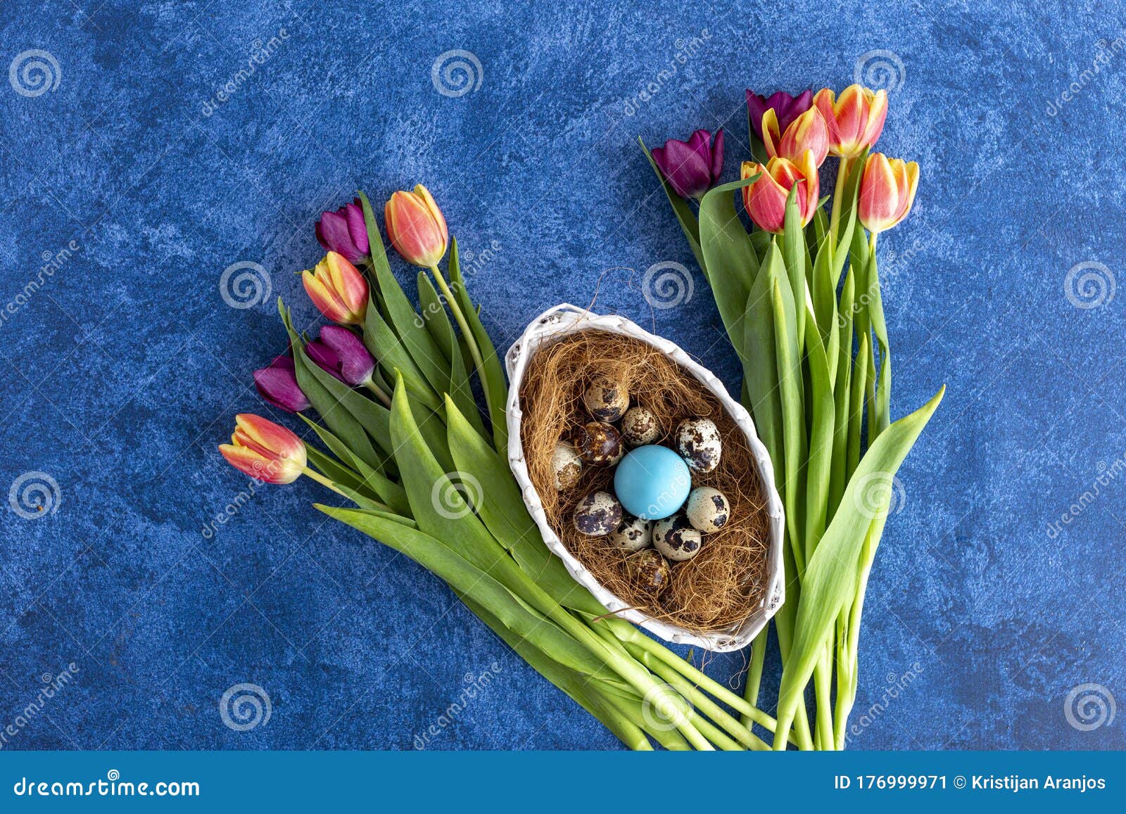 Colorful Easter Eggs in Nest and Tulips on Deep Blue Background. Easter ...
