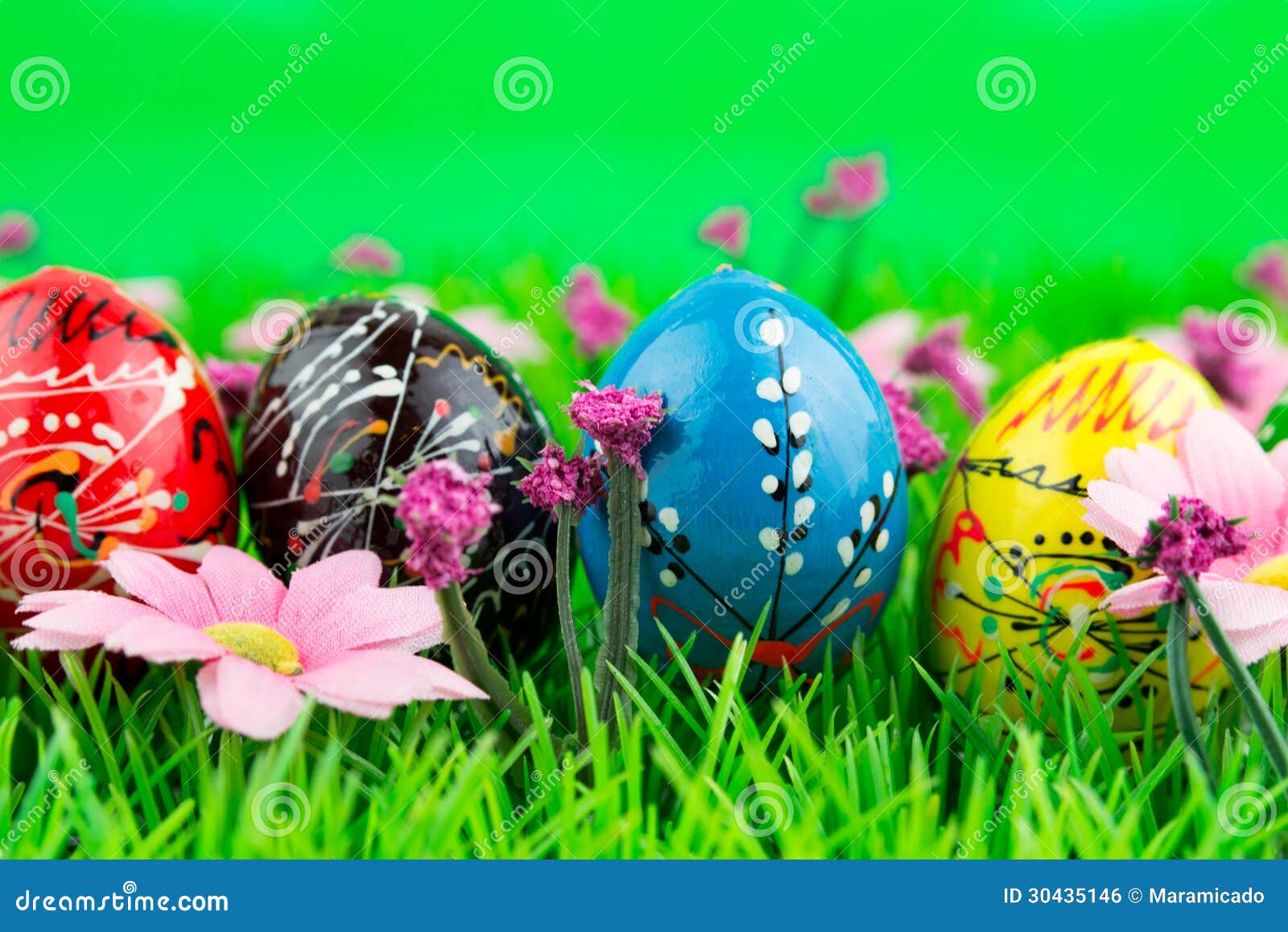 Colorful Easter Eggs in a Row on Green Grass Stock Photo - Image of ...