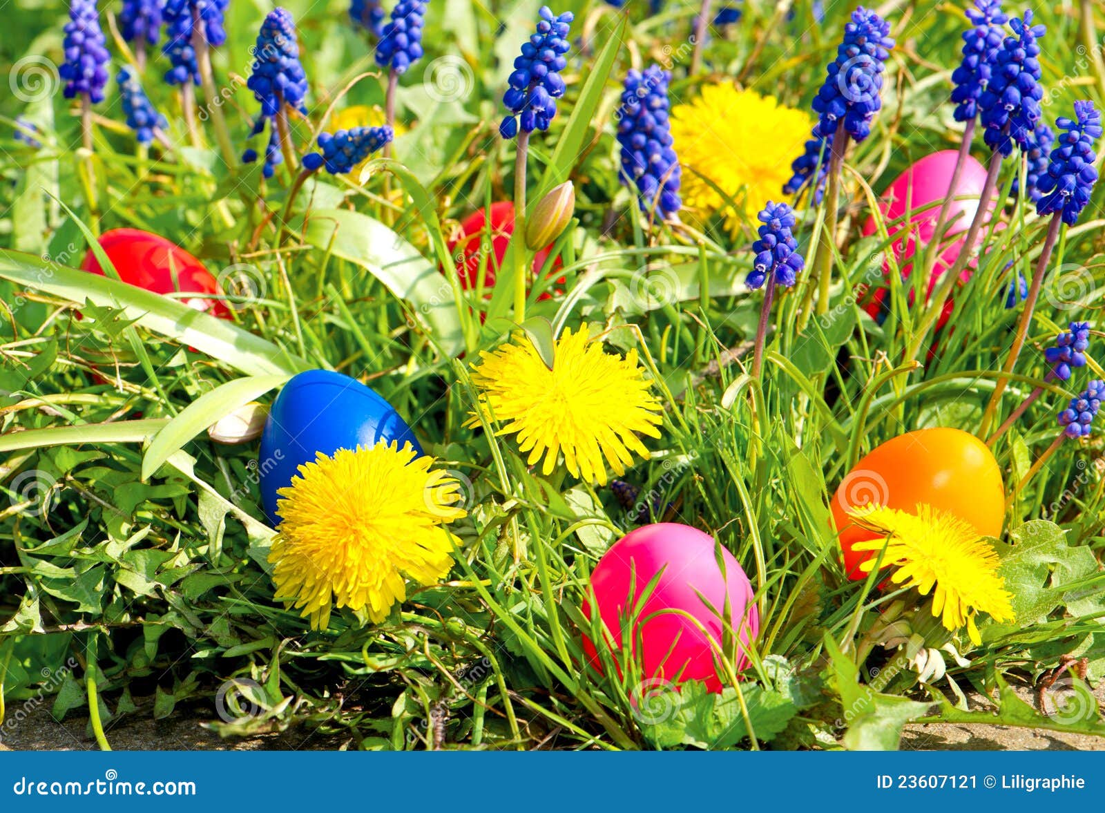 Colorful Easter Eggs with Spring Flowers Stock Image - Image of nature ...
