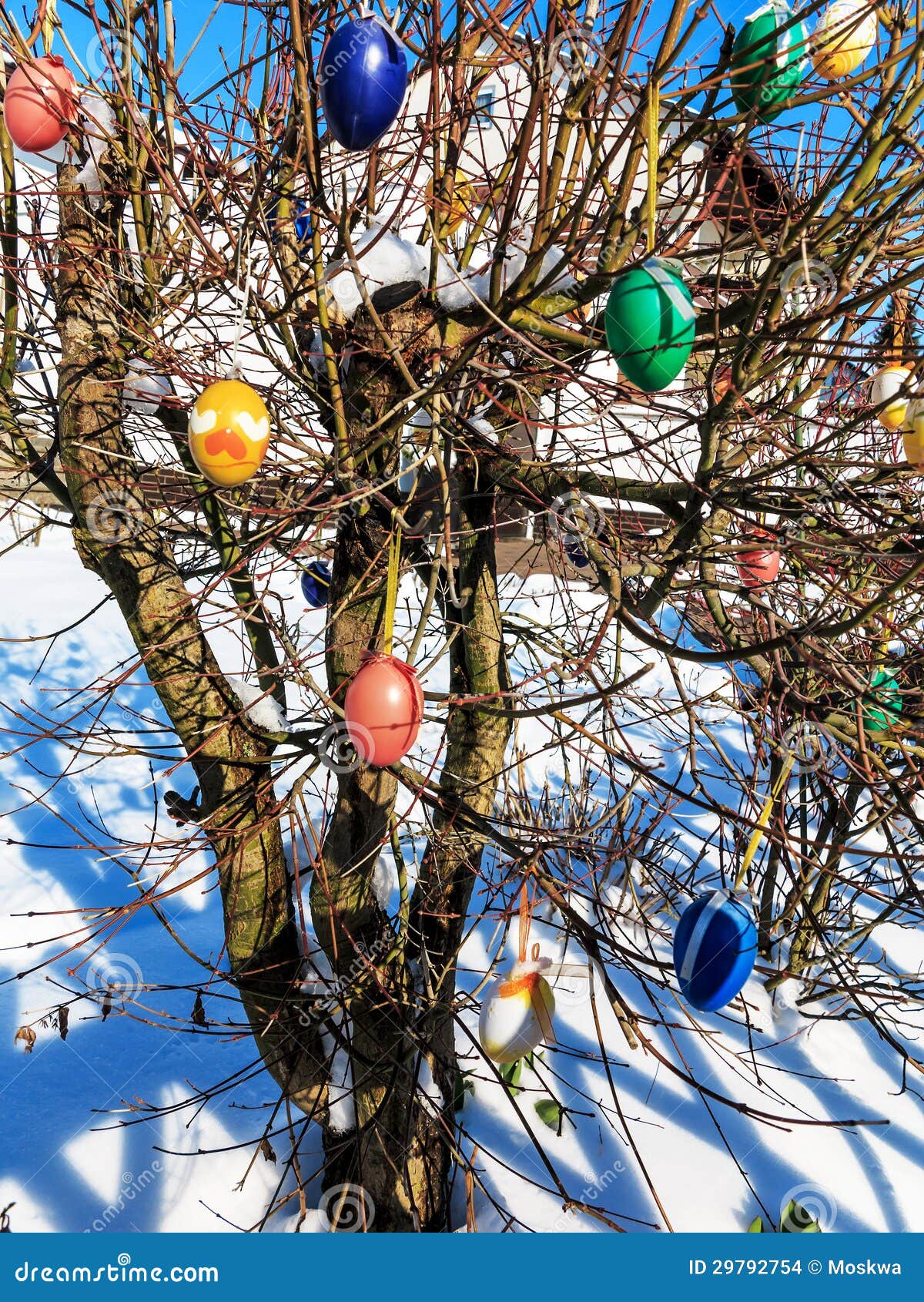 Colorful Easter Eggs on Spring Tree Stock Photo - Image of holiday ...