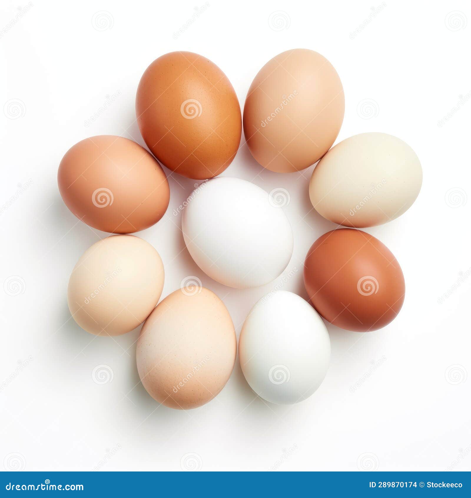 Colorful Egg Circle on White Background - Ed Freeman Style Stock ...