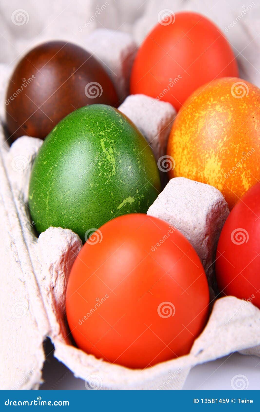 Colorful eggs stock image. Image of isolated, ecosystem - 13581459