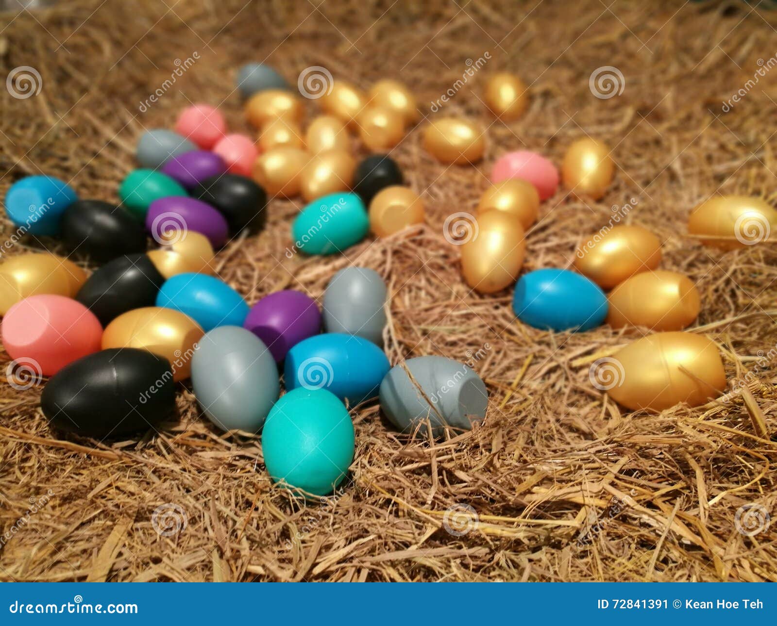 Colorful eggs in a nest stock image. Image of angry, colorful - 72841391