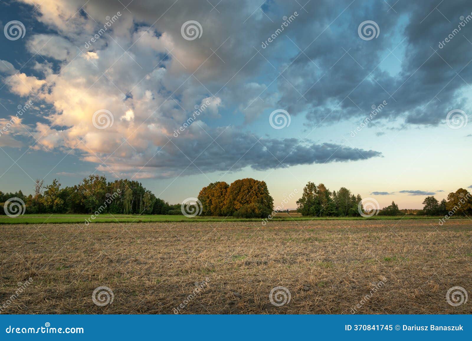 Evening Sky Cloud Patterns In Nature Royalty-Free Stock Photography | CartoonDealer.com #264320297