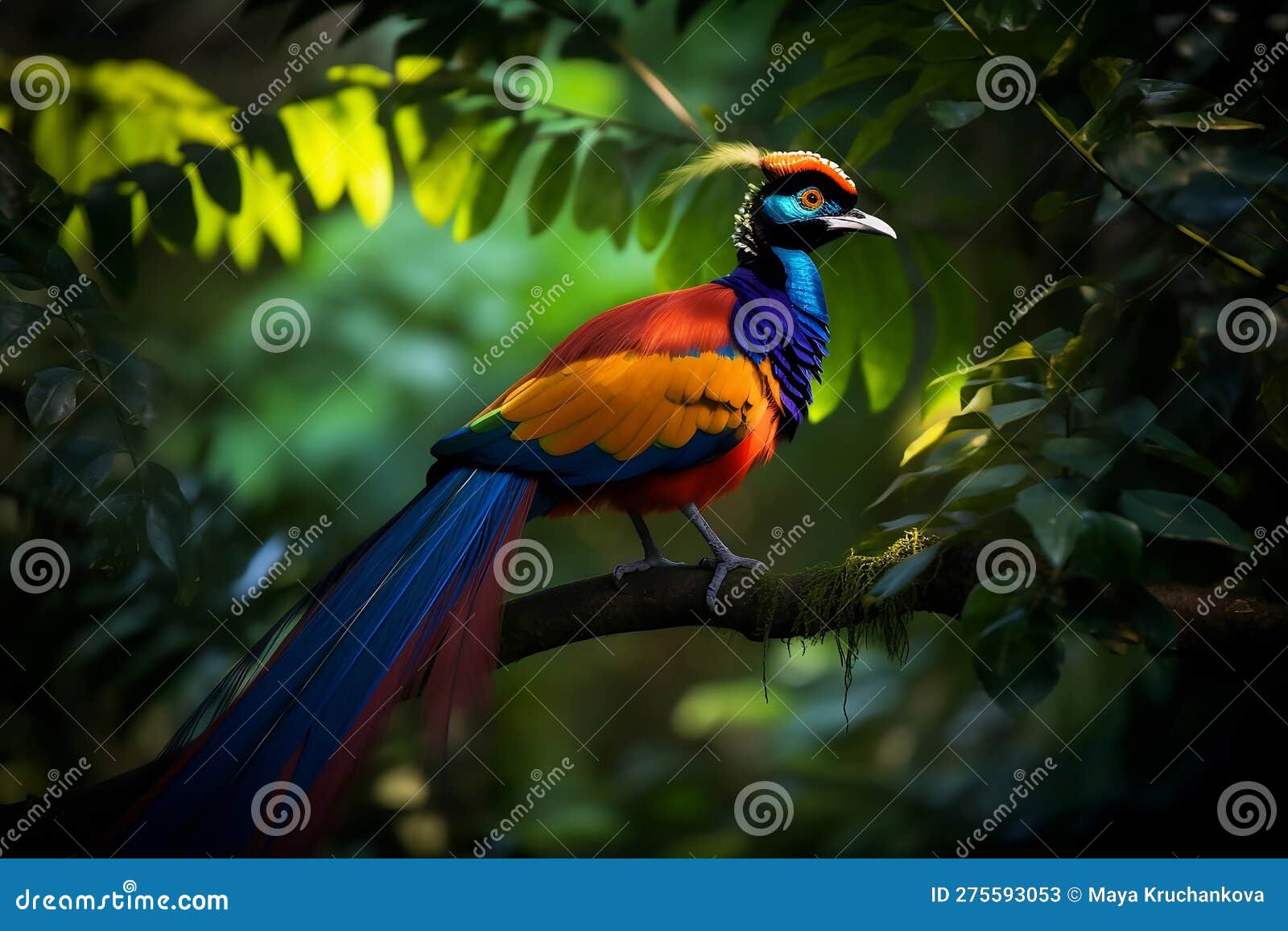 Colorful Exotic Bird in Jungles Stock Illustration - Illustration of ...
