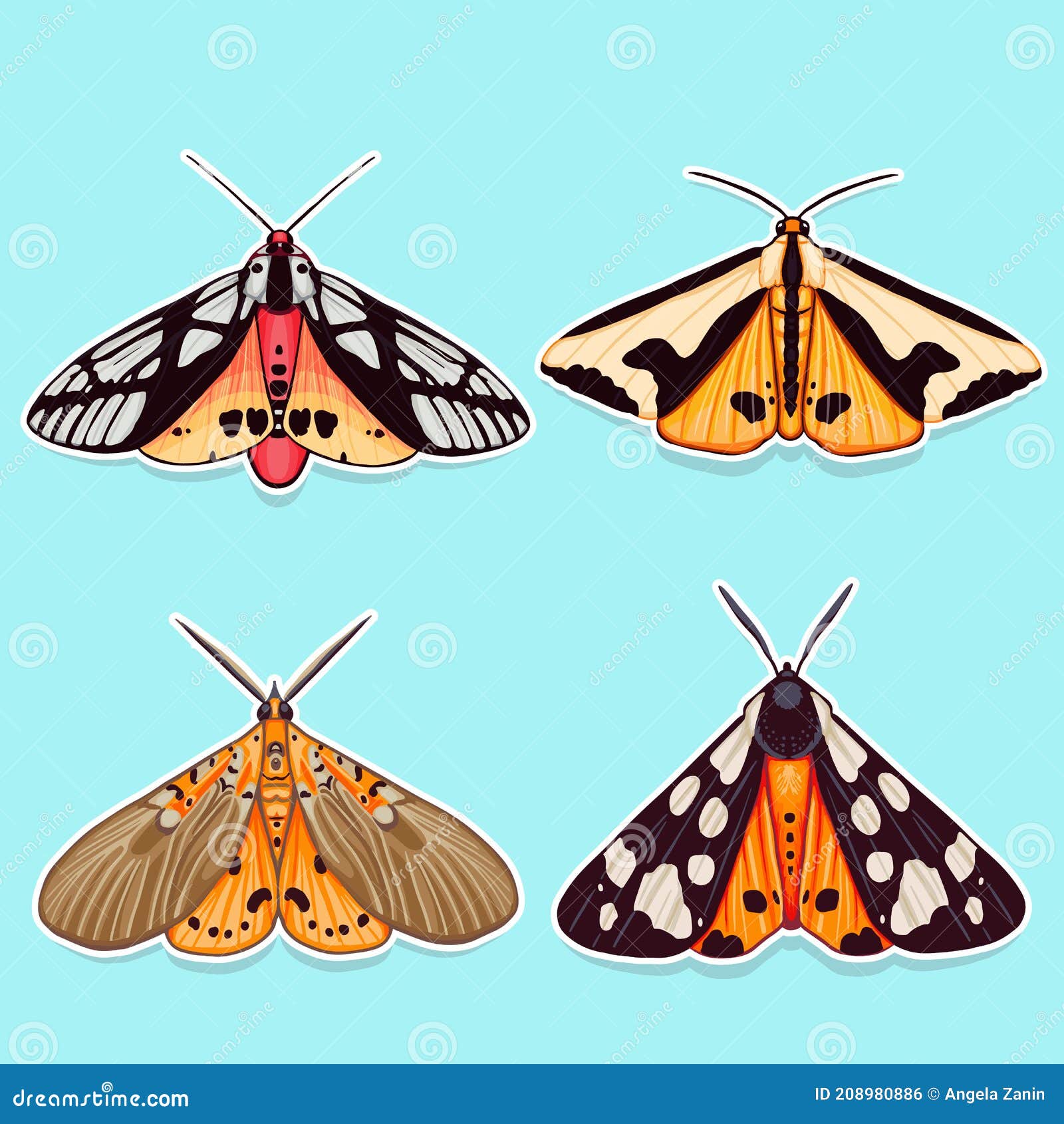 Vector Of Moth And Moon Phases. Royalty-Free Stock Photography ...