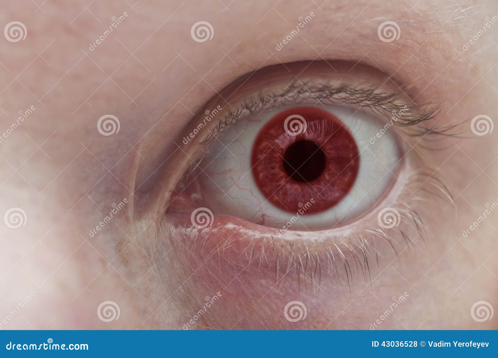 Colorful eye close up stock photo. Image of eyelash, healthcare - 43036528