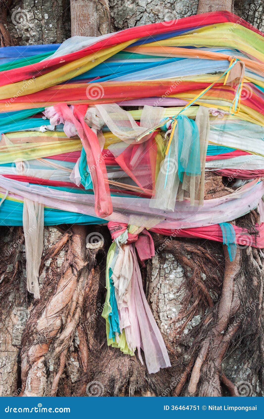 Colorful Fabric on Tree, Thailand Stock Image - Image of faith, forest ...