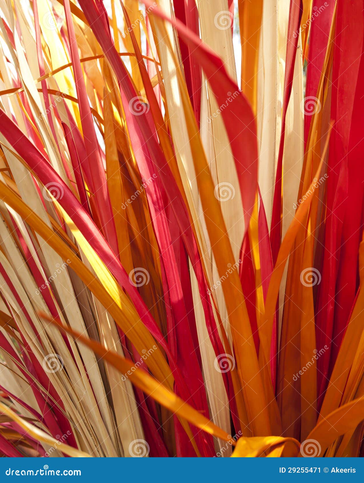 Colorful fake leaf stock image. Image of white, foliage - 29255471