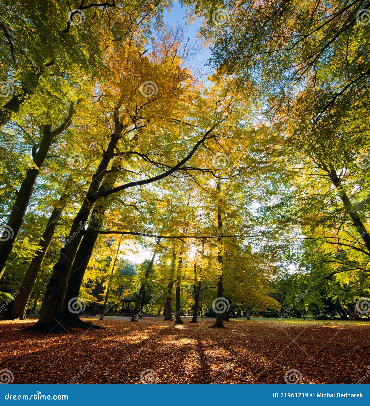 Colorful fall autumn park stock image. Image of fall - 21961219