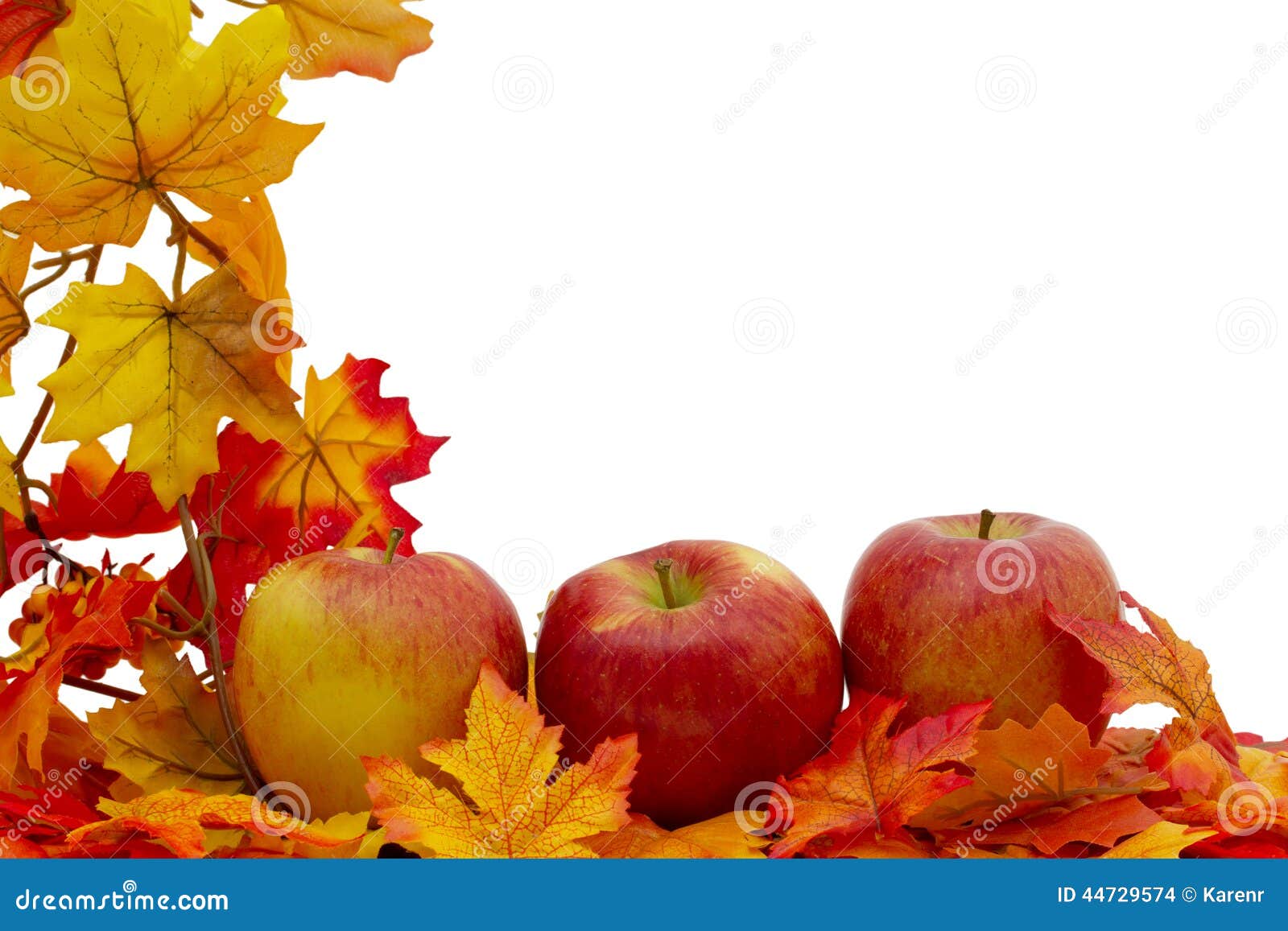 Colorful Fall Border stock photo. Image of empty, apples - 44729574