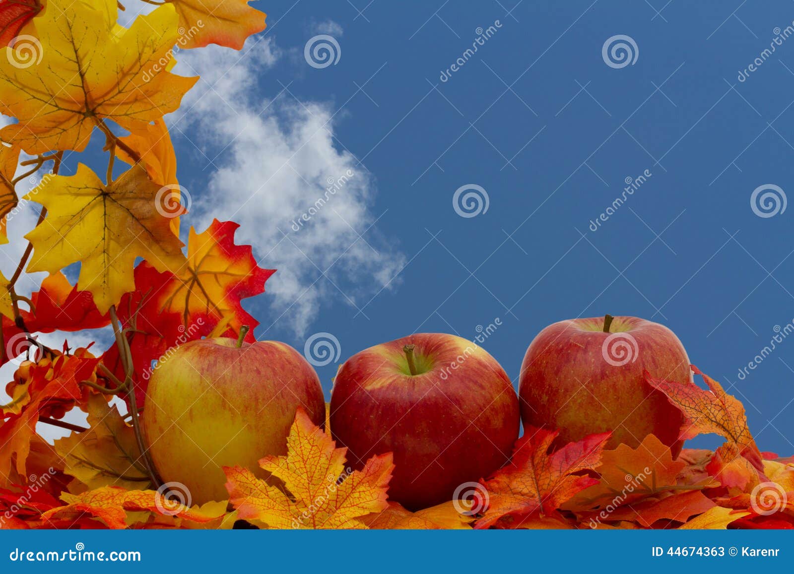 Colorful Fall Border stock image. Image of harvested - 44674363