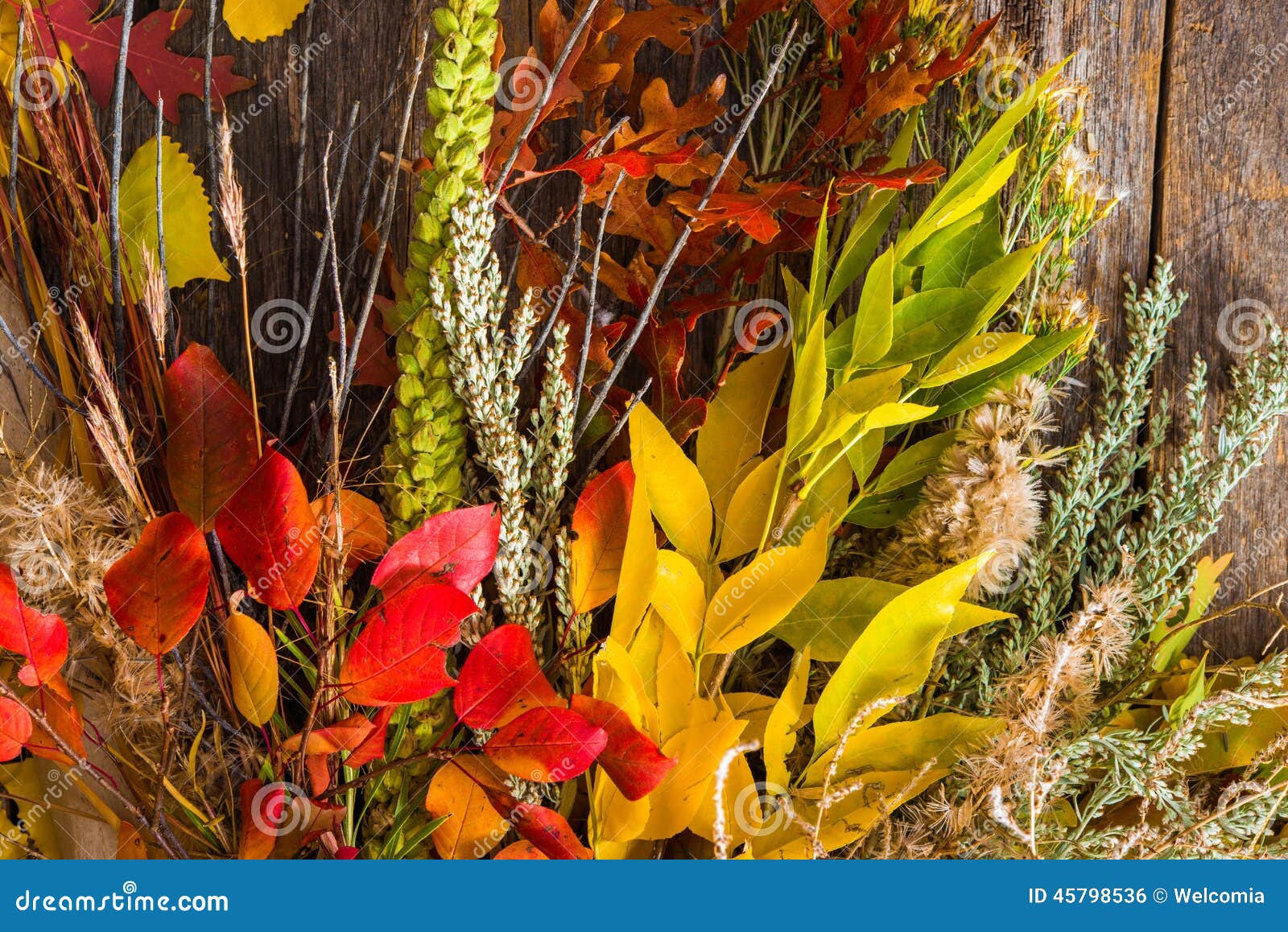 Colorful Fall Bouquet stock photo. Image of space, foliage - 45798536
