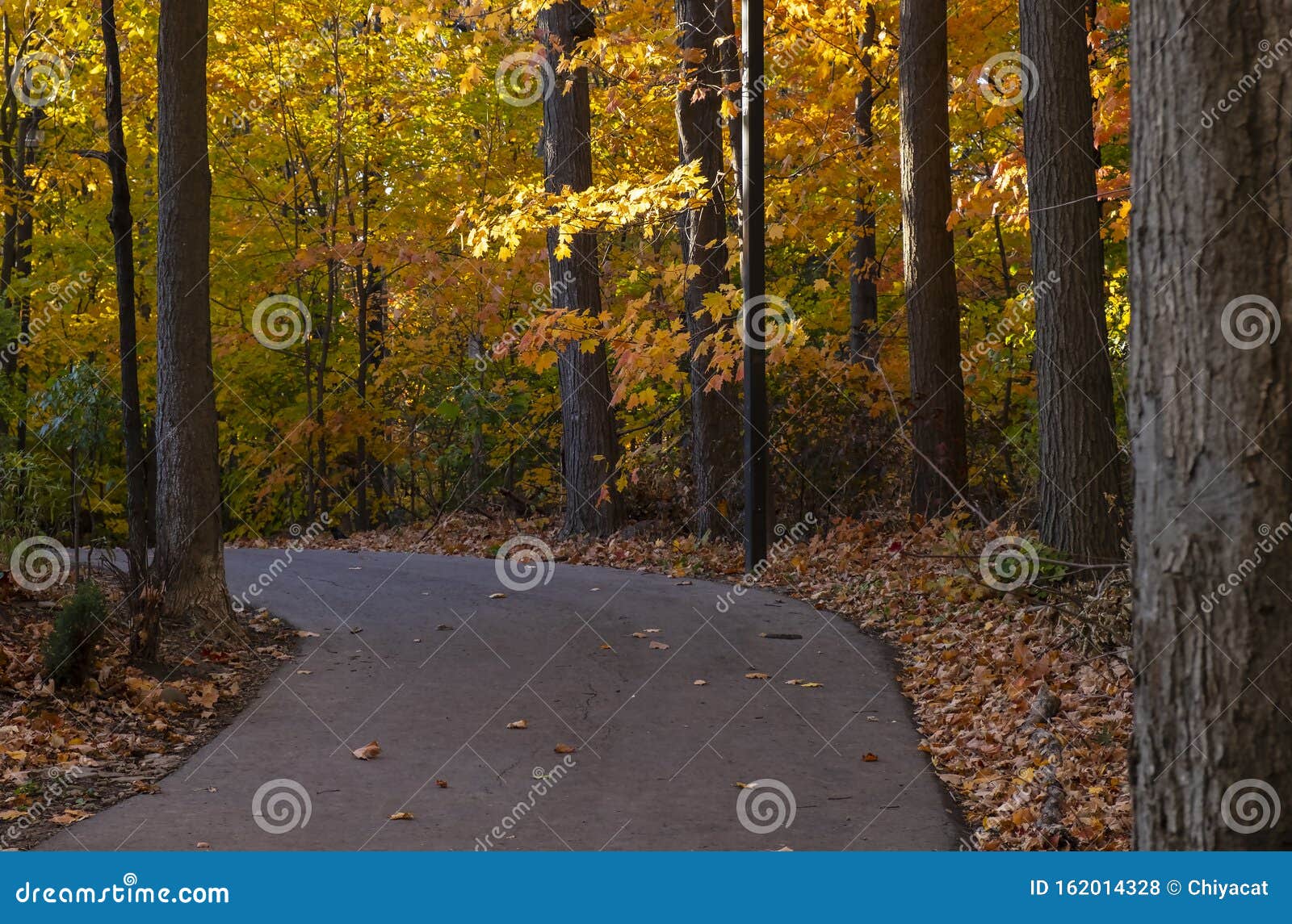 Colorful Fall Foliage Along a Beautiful Path #2 Stock Photo - Image of ...