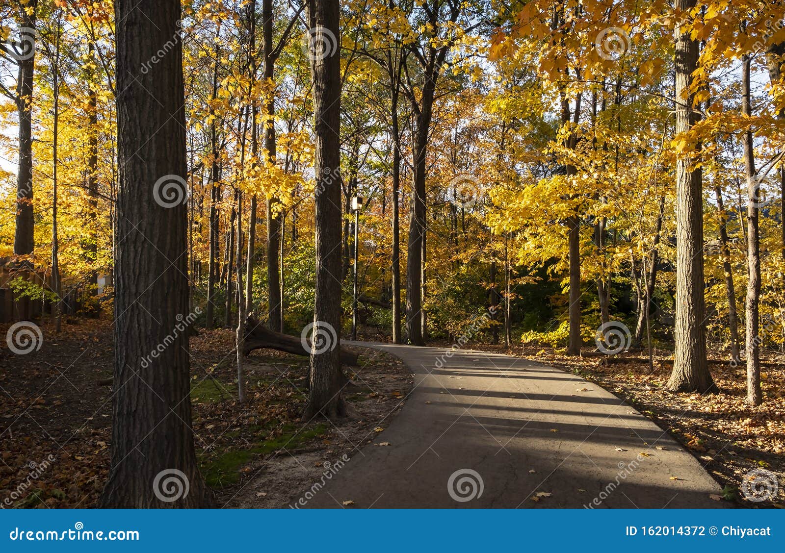 Colorful Fall Foliage Along a Beautiful Path #3 Stock Photo - Image of ...