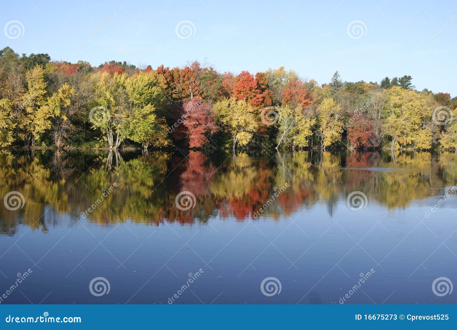 Colorful Fall Foliage Reflected on River Stock Image - Image of branch ...