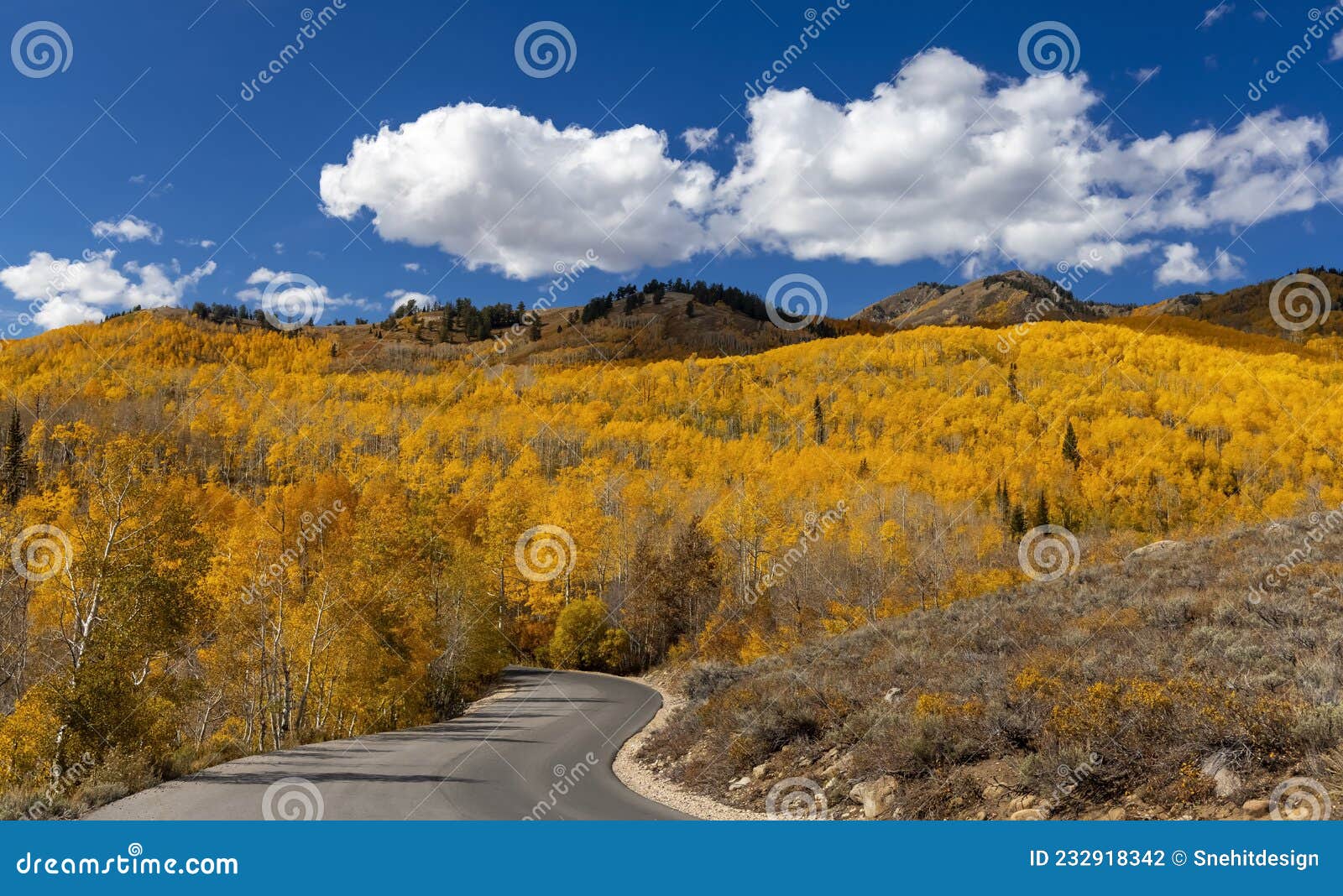 Colorful Fall Foliage at Wasatch Mountain State Park in Utah Stock ...
