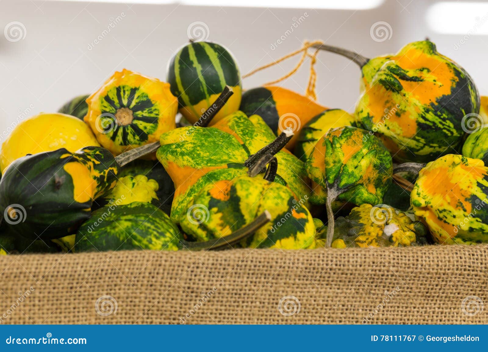 Colorful Fall Gourds in Basket Stock Image - Image of decorative ...