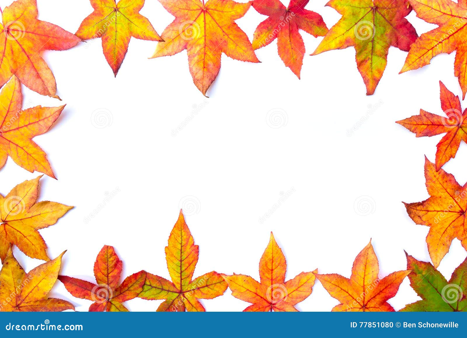 Colorful Fall Leaves Framework on White Stock Photo - Image of empty ...