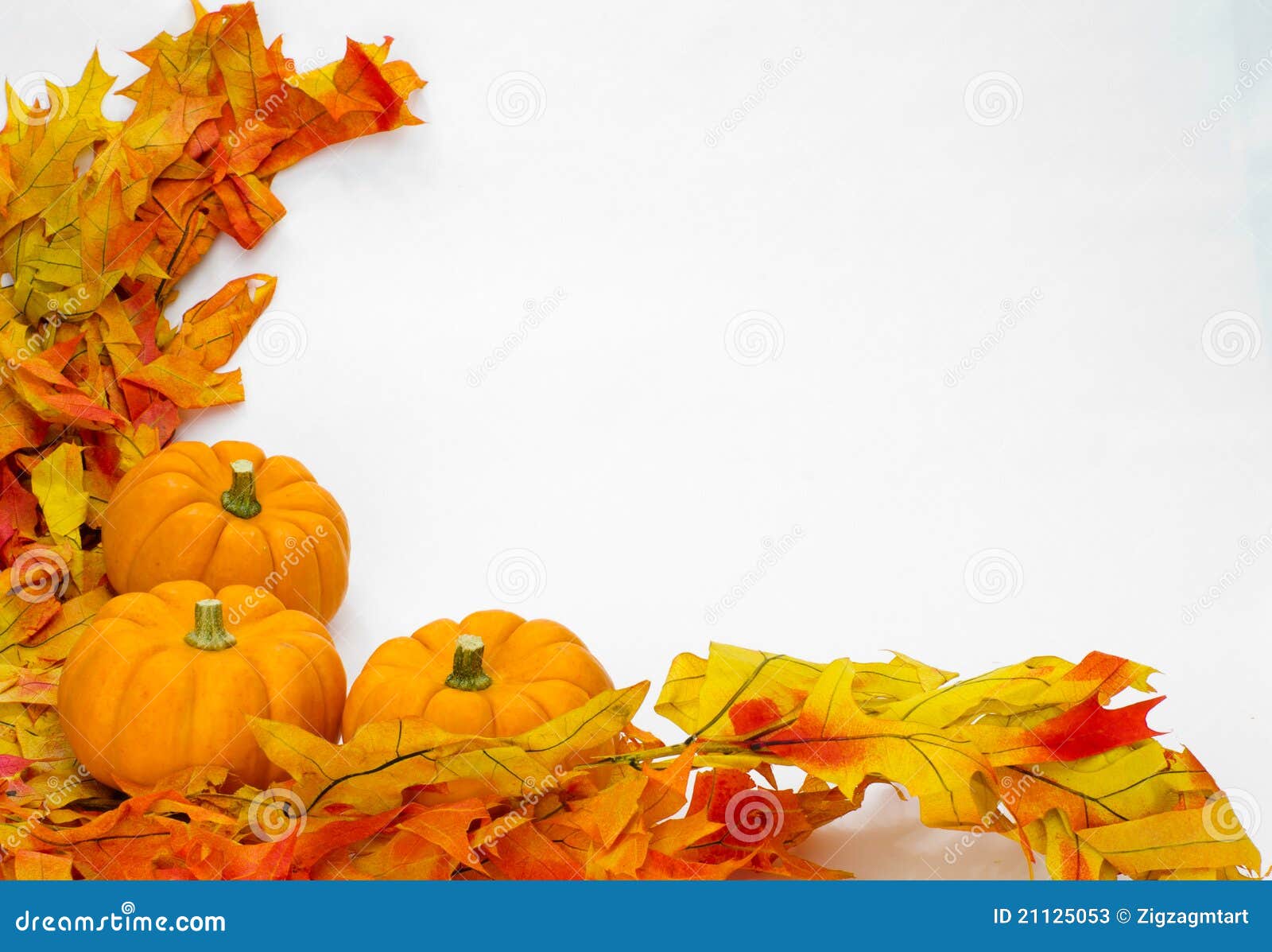 Colorful Fall Leaves and Pumpkins Stock Image - Image of food, november ...