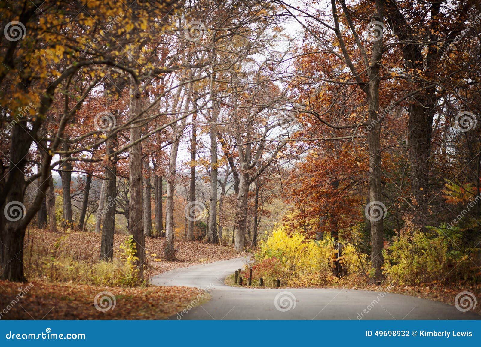 Colorful Fall Paved Path through Woods. Stock Photo - Image of bushes ...