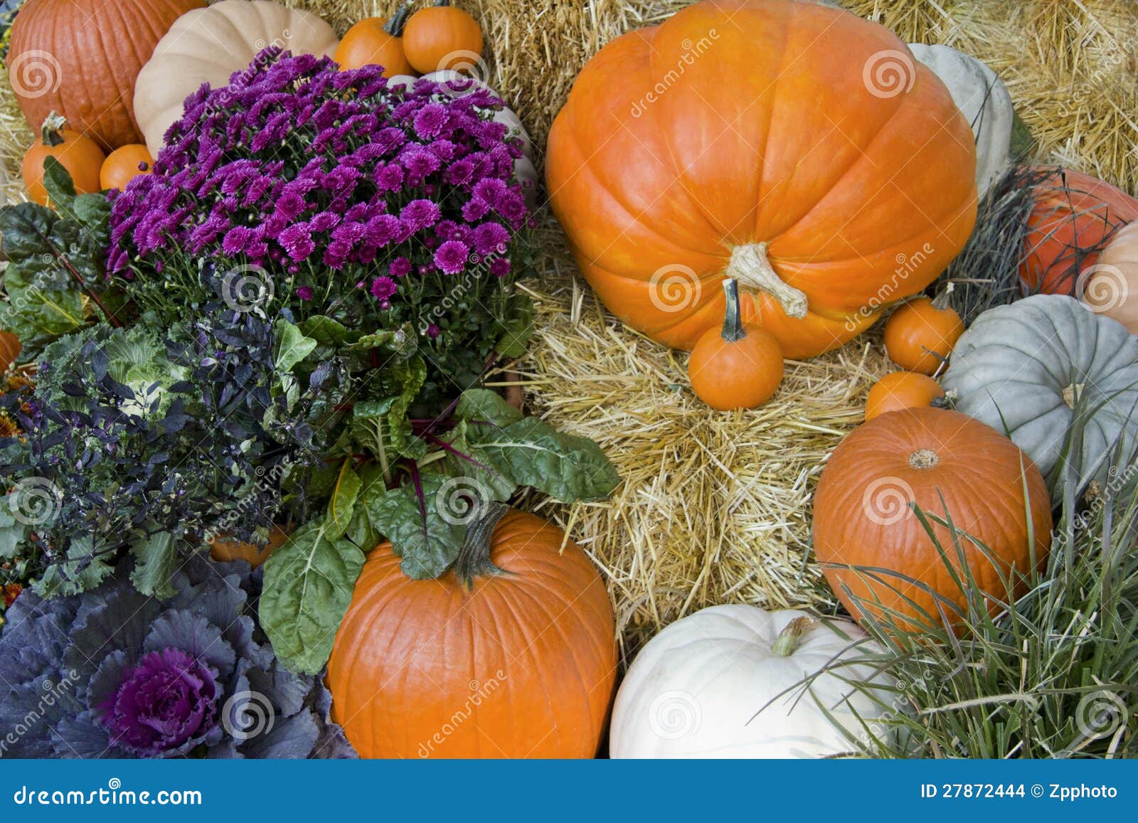 Colorful Fall Pumpkins and Flowers Stock Photo - Image of flowers ...