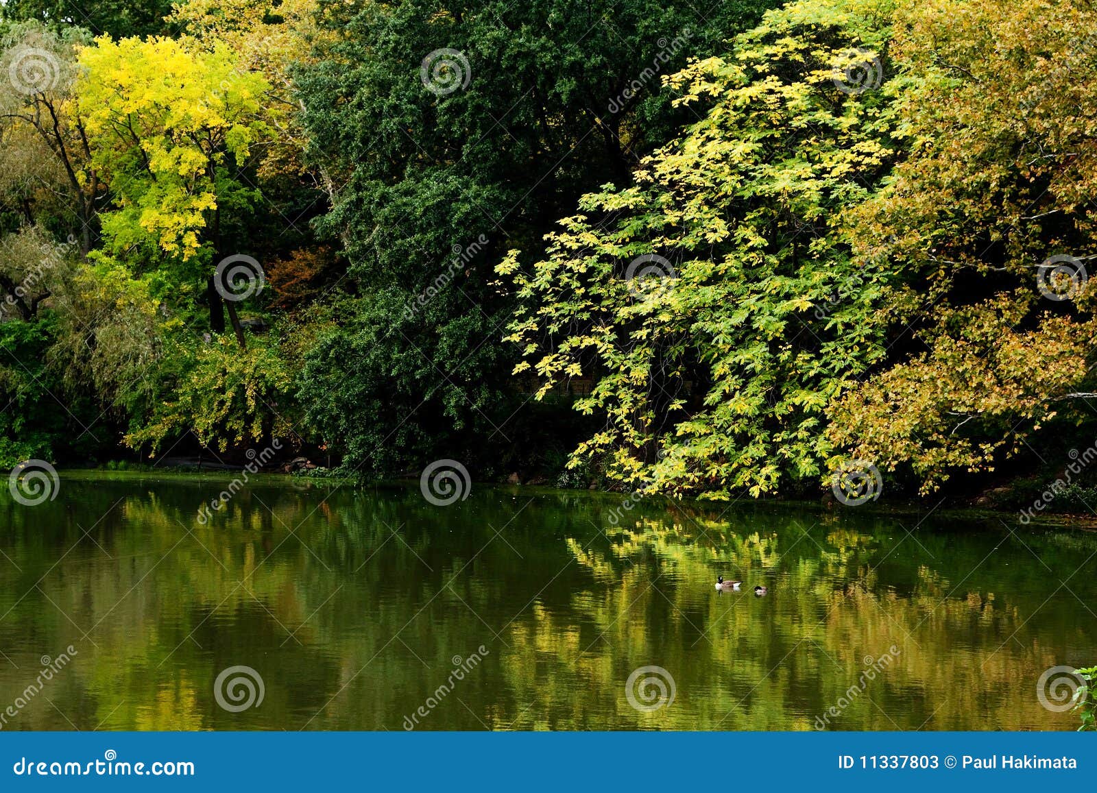 Colorful Fall Scenery Landscape Stock Image - Image of peaceful, tree ...