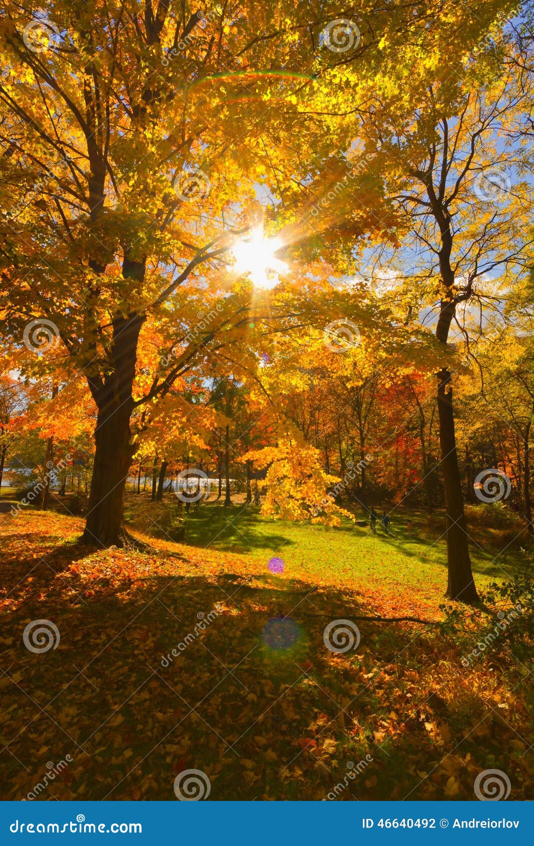 Colorful Fall Scenery Landscapes. Stock Photo - Image of autumn ...